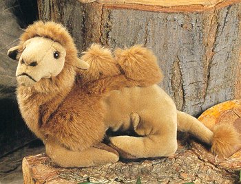 Stuffed Camel from Stuffed Ark