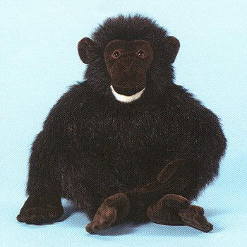 Stuffed Chimpanzee from Stuffed Ark